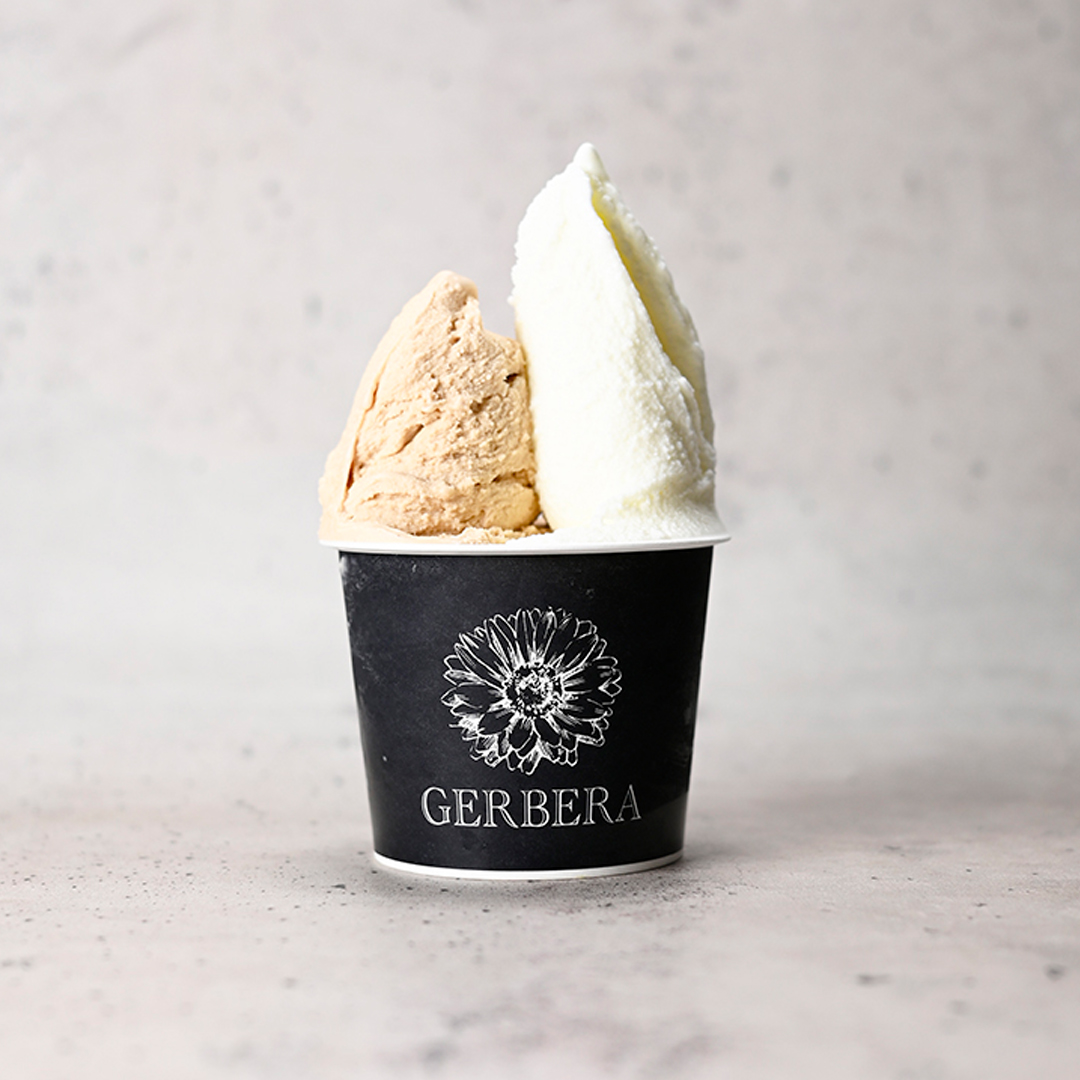 gelato & pudding GERBERA